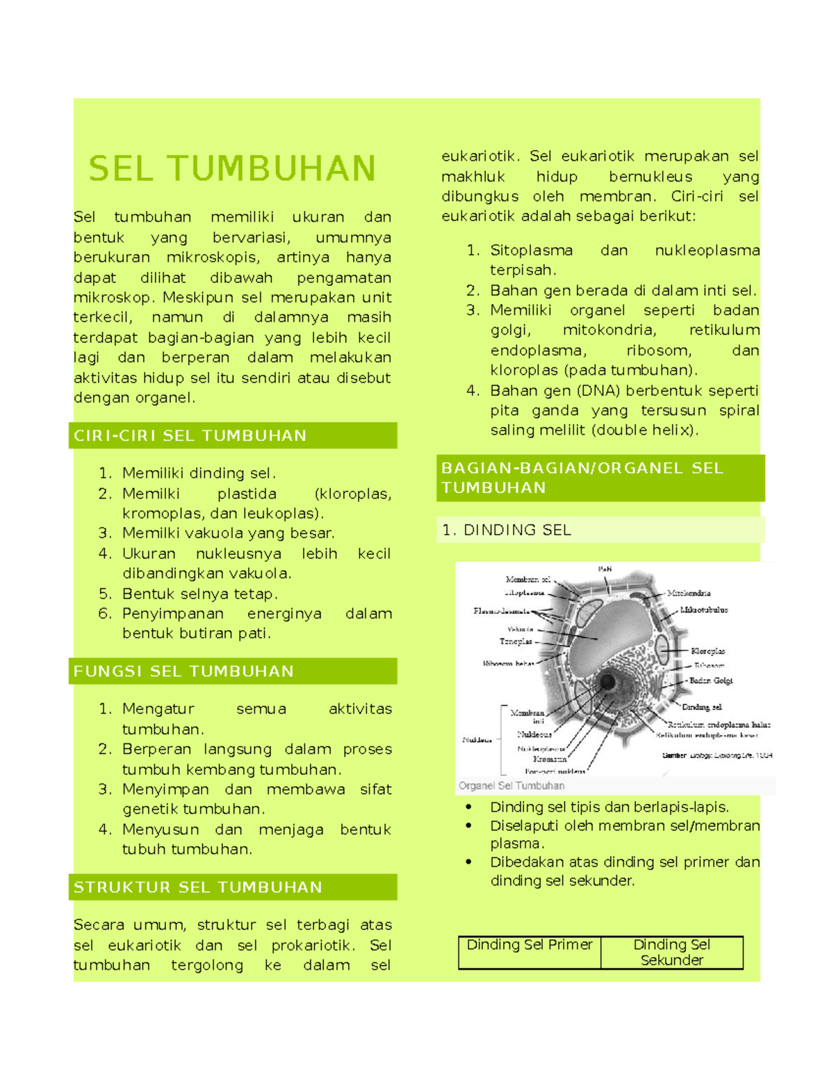 Sel Tumbuhan - Biology school notes - SEL TUMBUHAN Sel tumbuhan ...