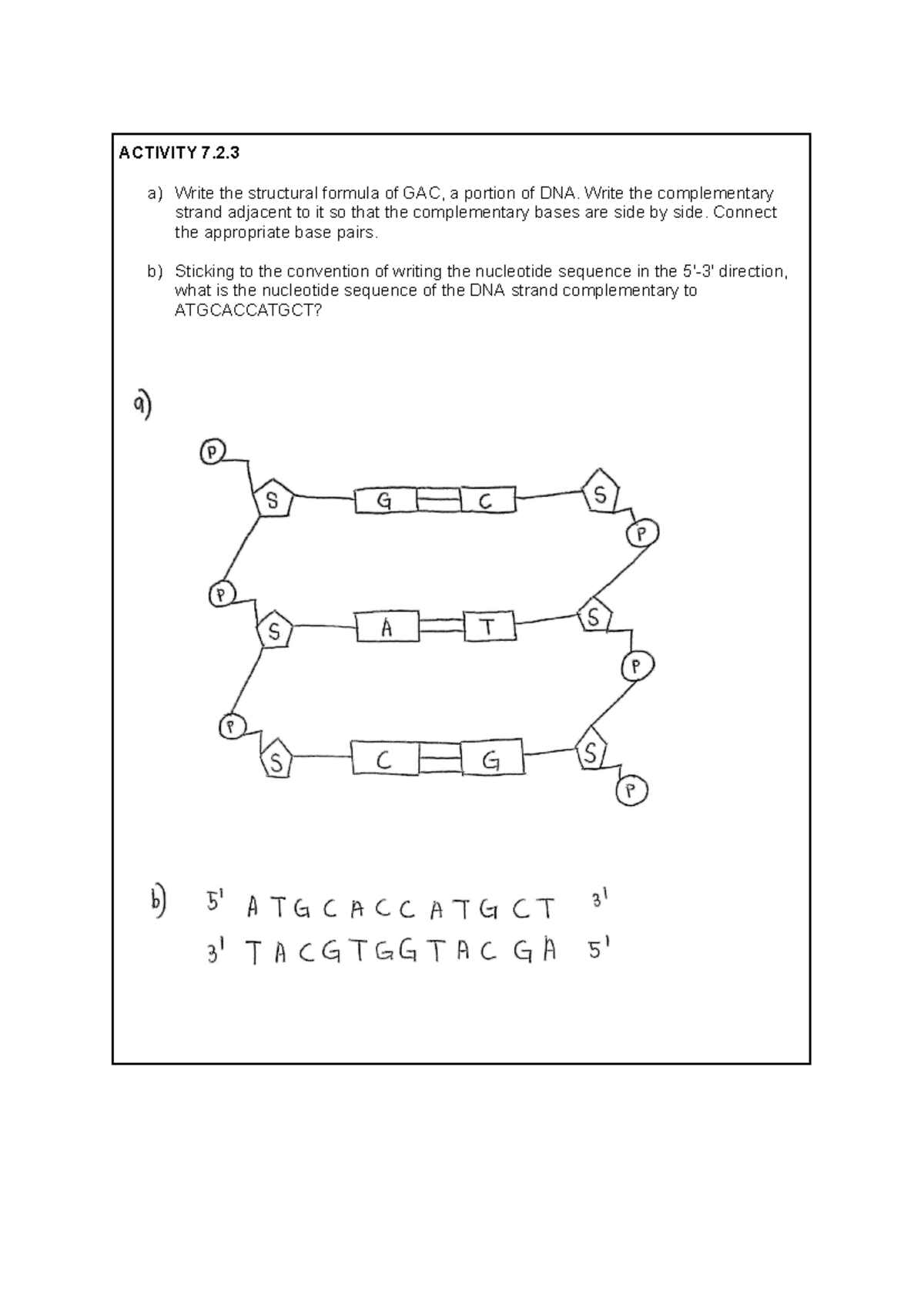 Nucleotides and Lipids - a) Write the structural formula of GAC, a ...