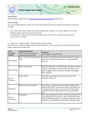 Lab 13 Genetics worksheet - Click and Learn Using DNA to Trace Human ...