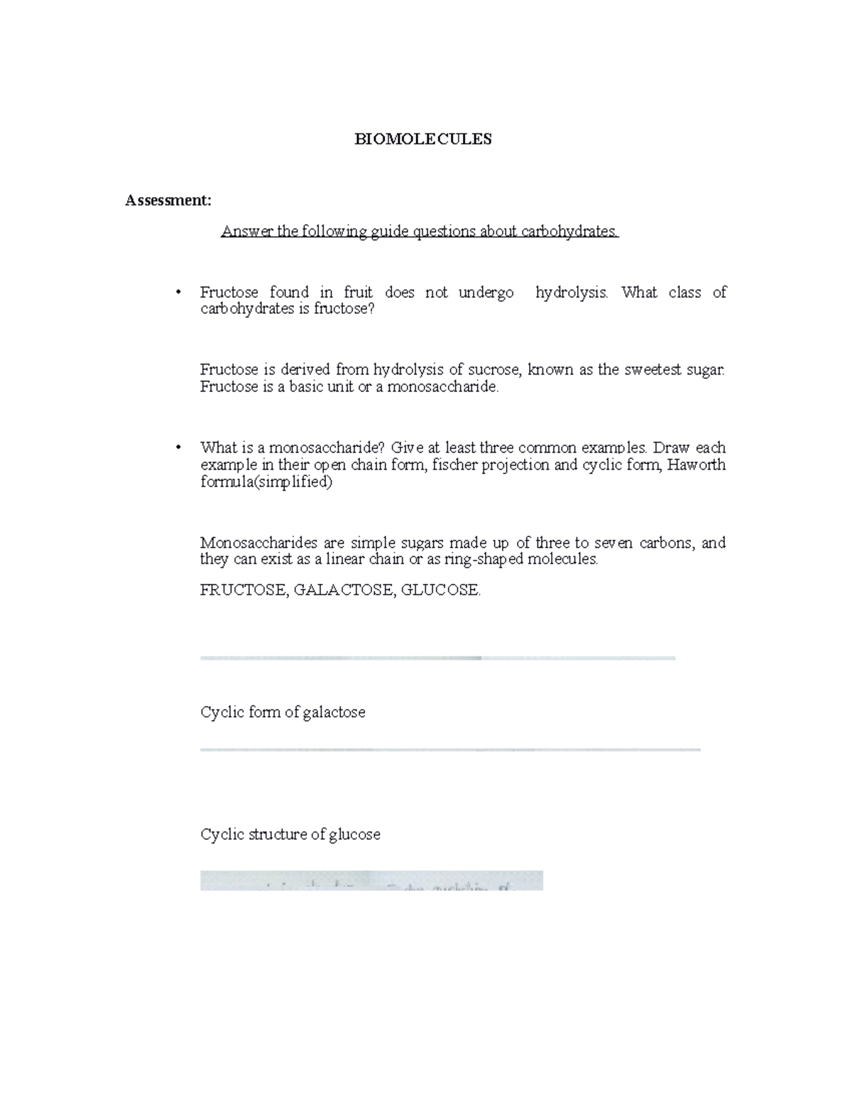 Biomoleculars Assignment 1 Carbohydrates - BIOMOLECULES Assessment ...