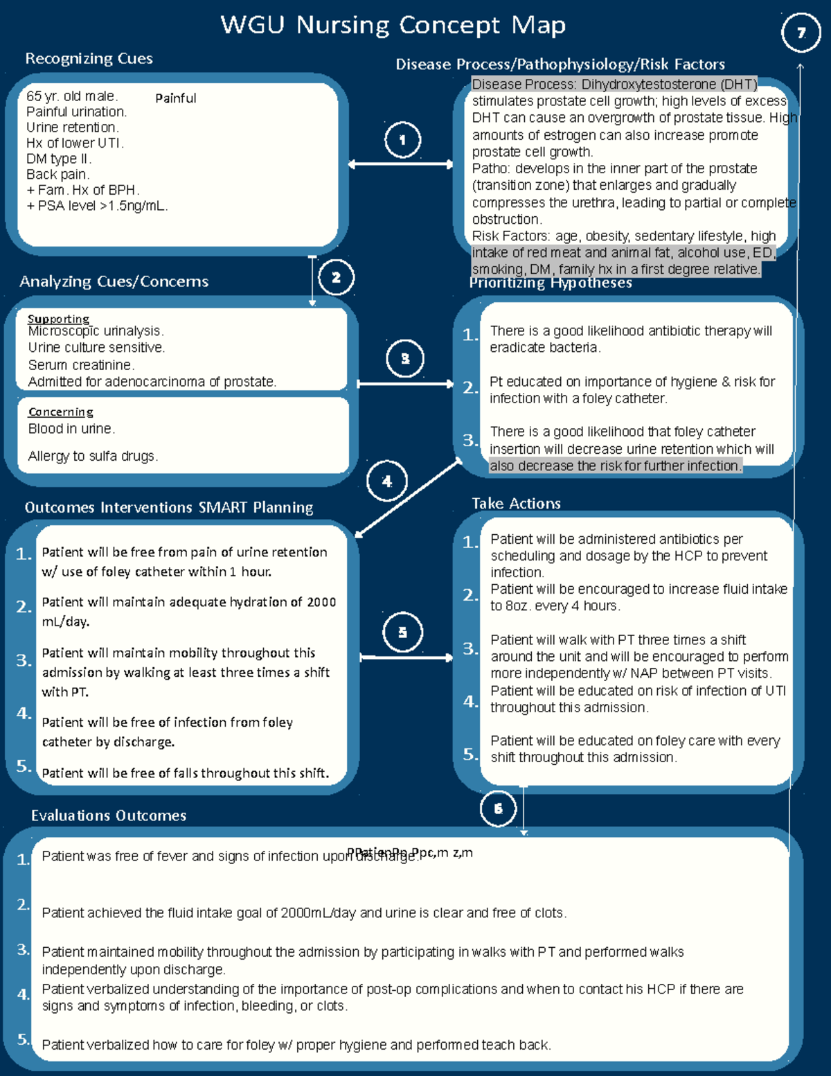 Concept map template v2 - Patient was free of fever and signs of ...