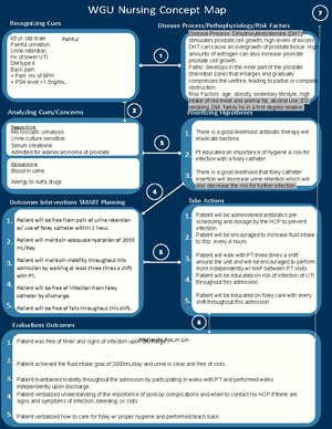 Clinical Concept Map - Disease Process/Pathophysiology/Risk Factors 1 ...