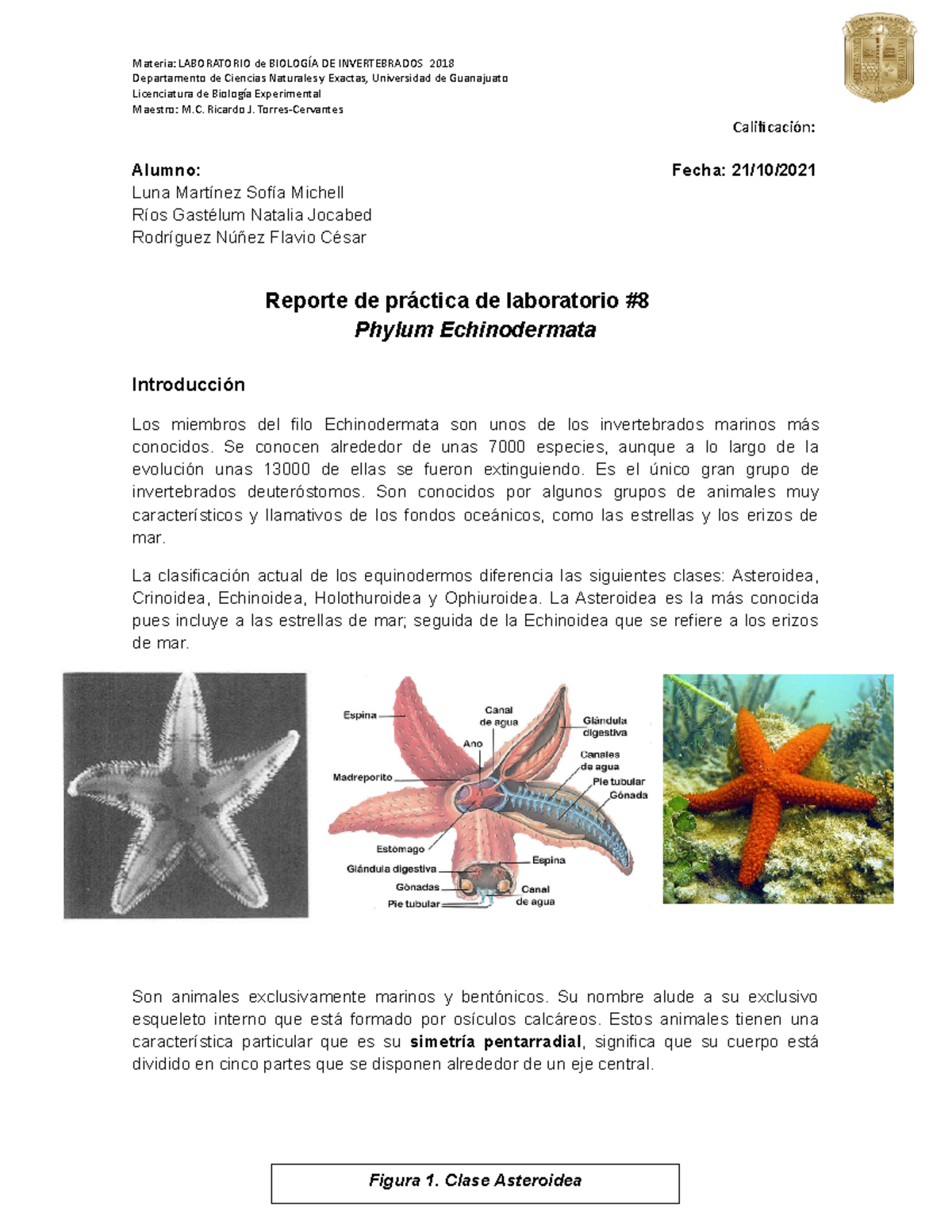 Práctica 8 Biología de Invertebrados, UG, DCNE - Materia: LABORATORIO de BIOLOGÍA DE ...