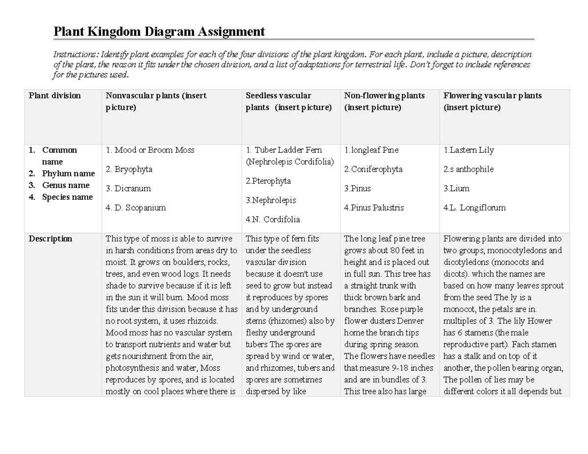 06 05 plant kingdom diagram template - Plant Kingdom Diagram Assignment ...