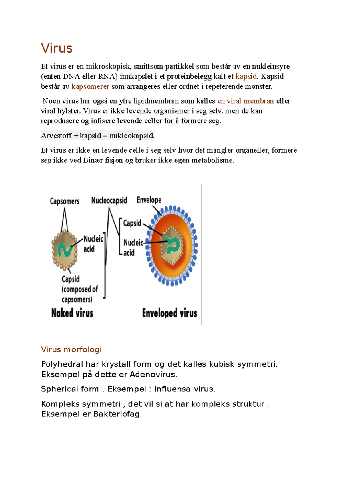 Virus - .... - Virus Et virus er en mikroskopisk, smittsom partikkel ...