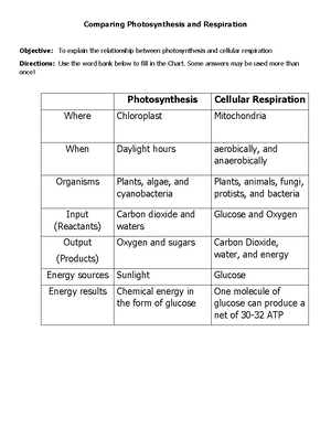 Copy of Day 18 Cell Transport Review Sheet Final - Transport ...
