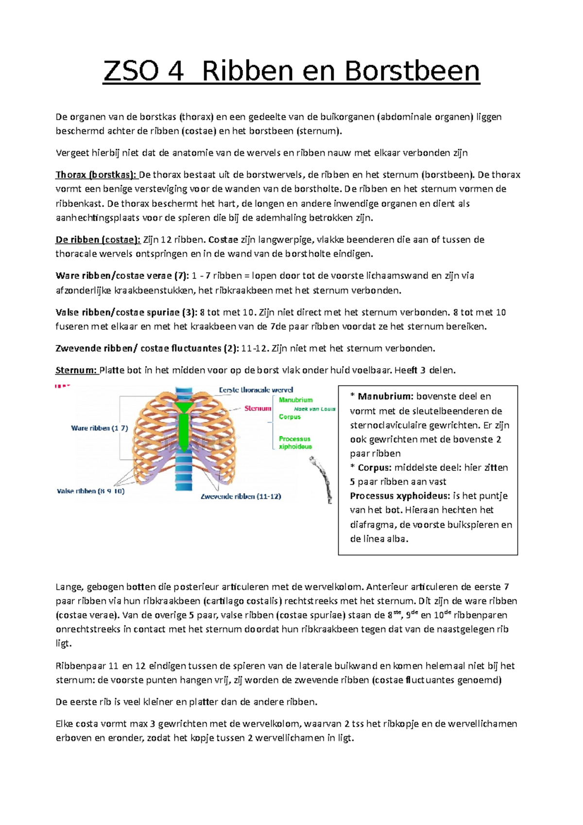 ZSO 4 Ribben en Borstbeen - ZSO 4 Ribben en Borstbeen De organen van de ...
