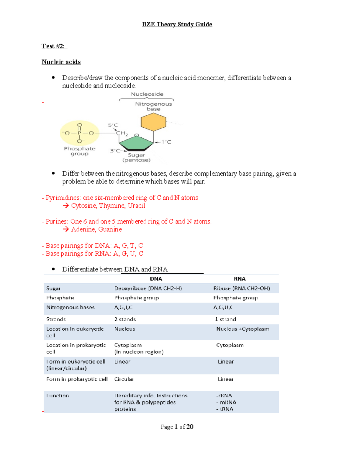 General Study Guide - Theory 2 - Test #2: Nucleic acids Describe/draw ...