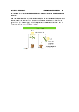 Ooforitis - ... - Ooforitis Es la inflamación del ovario ocasionada por ...