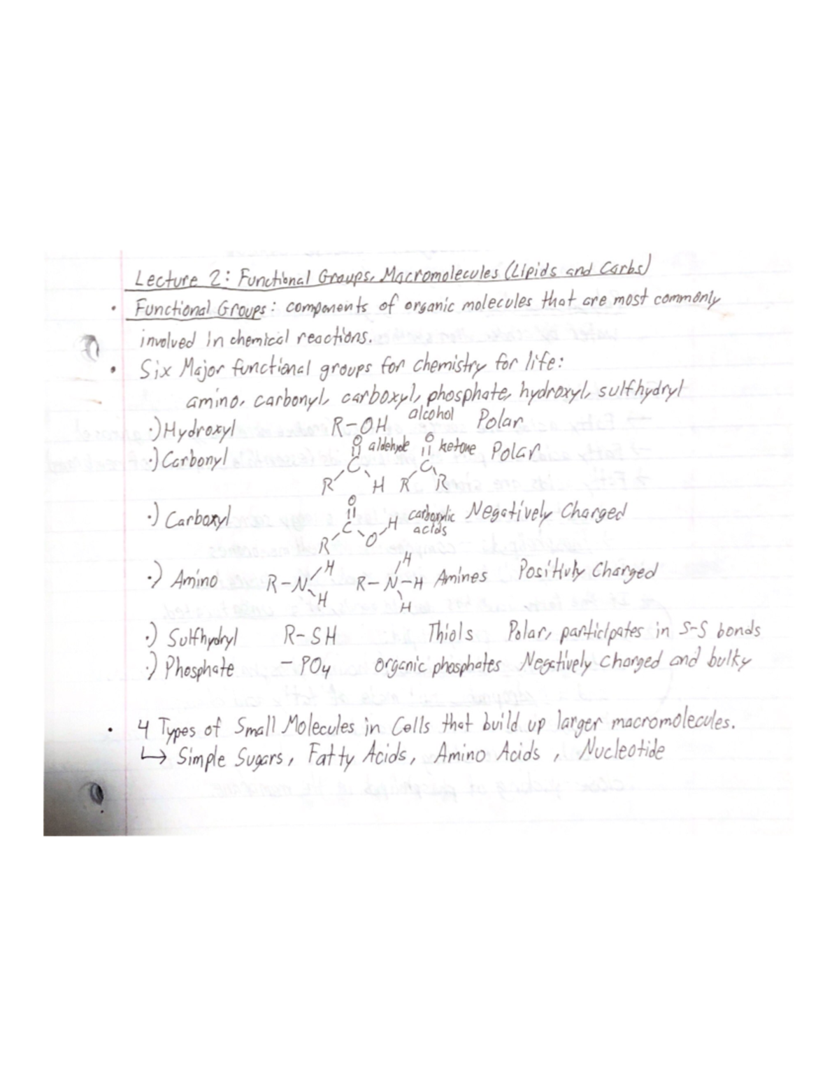 Lecture 2: Functional Groups and Intro To Macromolecules - BIO 202 ...