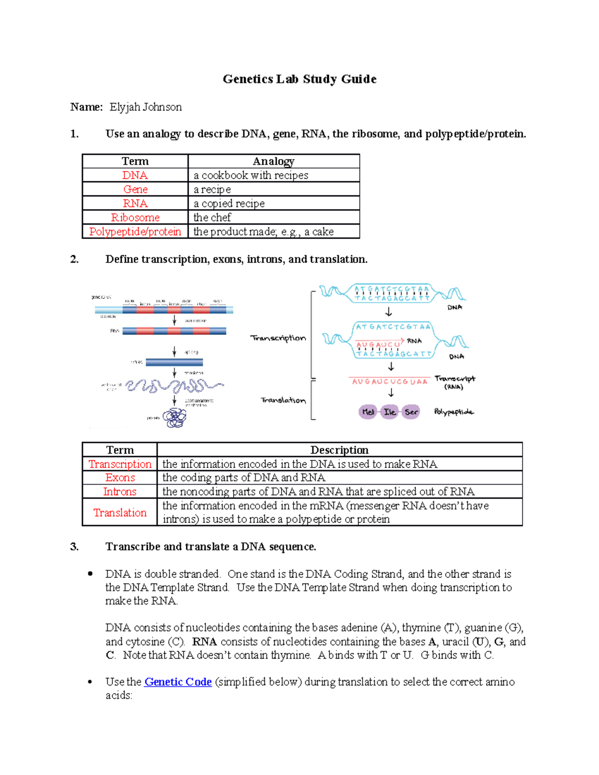 Genetics Lab Study Guide - Genetics Lab Study Guide Name: Elyjah ...