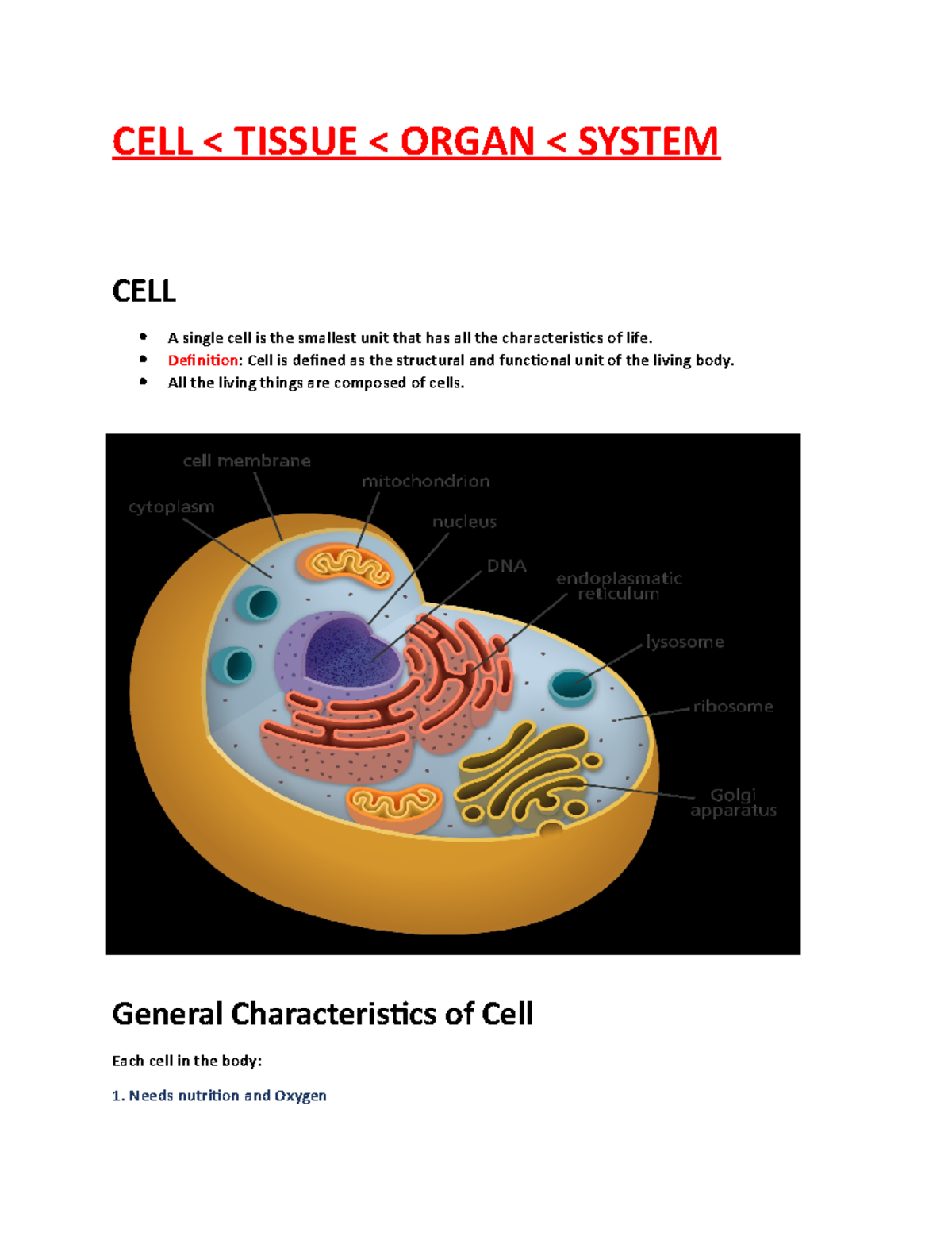 Basic anatomy - Useful - CELL