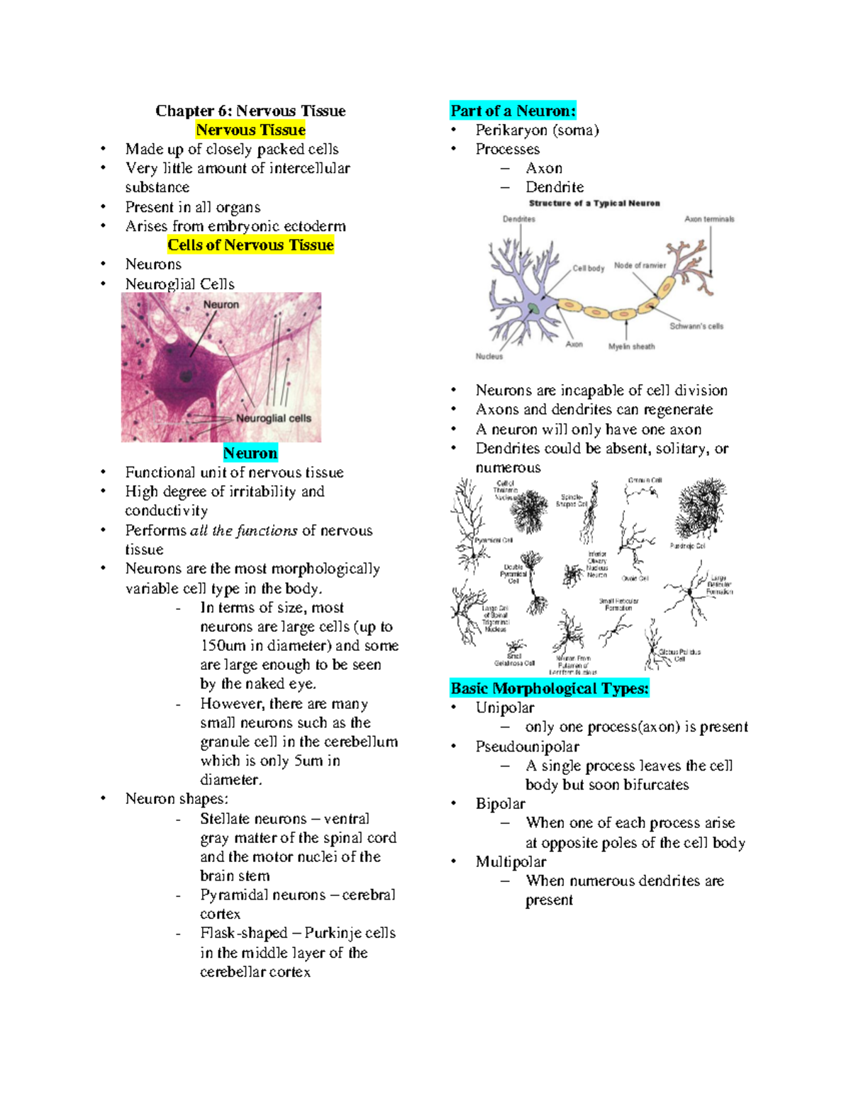 Nervous Tissue 6 - 11111 - Chapter 6: Nervous Tissue Nervous Tissue ...