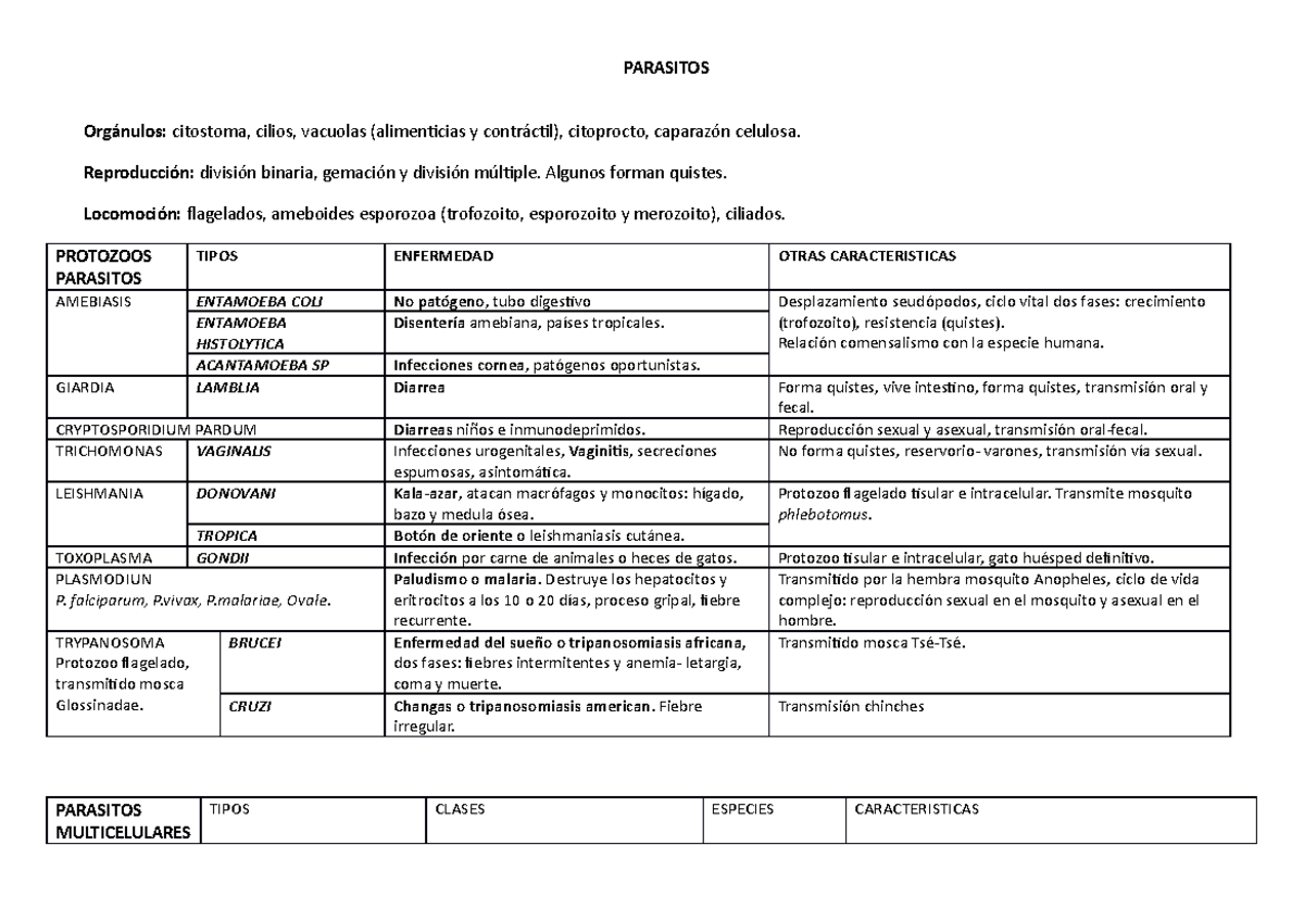 Parasitos - PARASITOS citostoma, cilios, vacuolas (alimenticias y ...