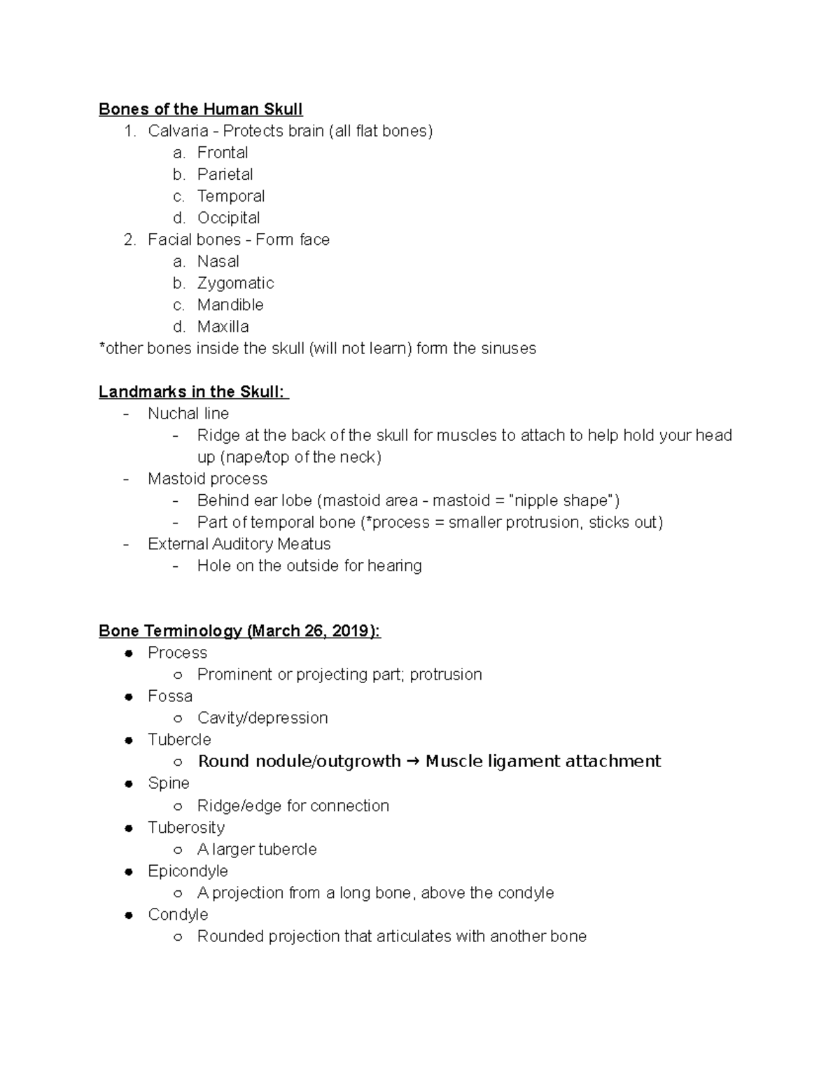 2C - Upper and Lower Bone Labels - Bones of the Human Skull 1. Calvaria ...
