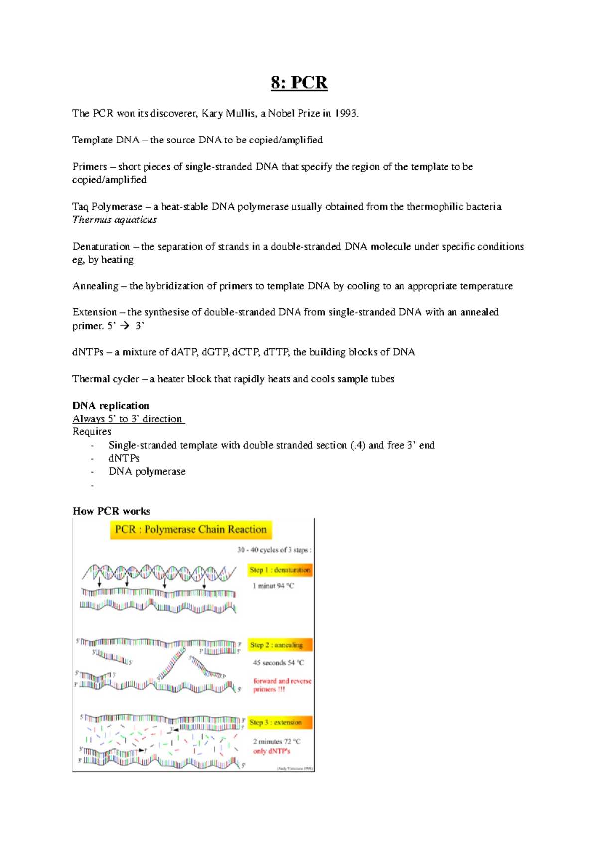 8 PCR - Lecture notes 8 - 8: PCR The PCR won its discoverer, Kary ...