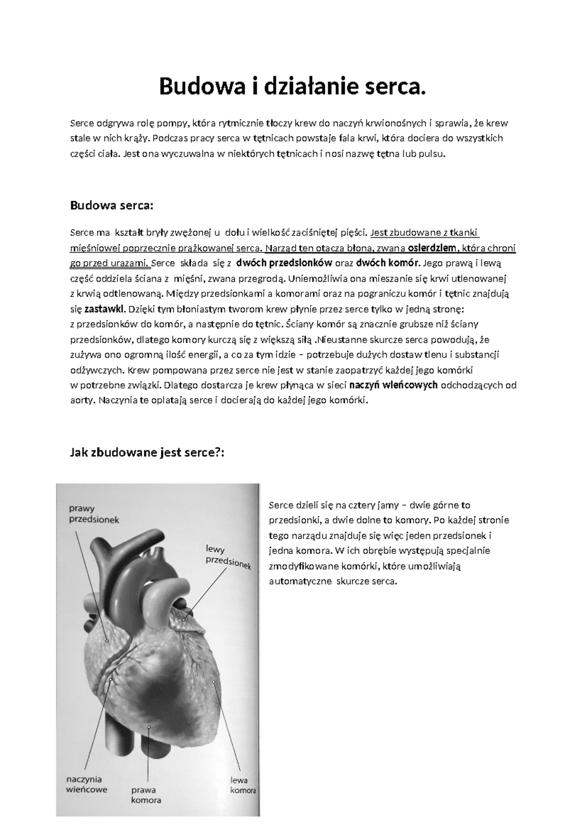 Budowa i działanie serca - Serce odgrywa rolę pompy, która rytmicznie ...