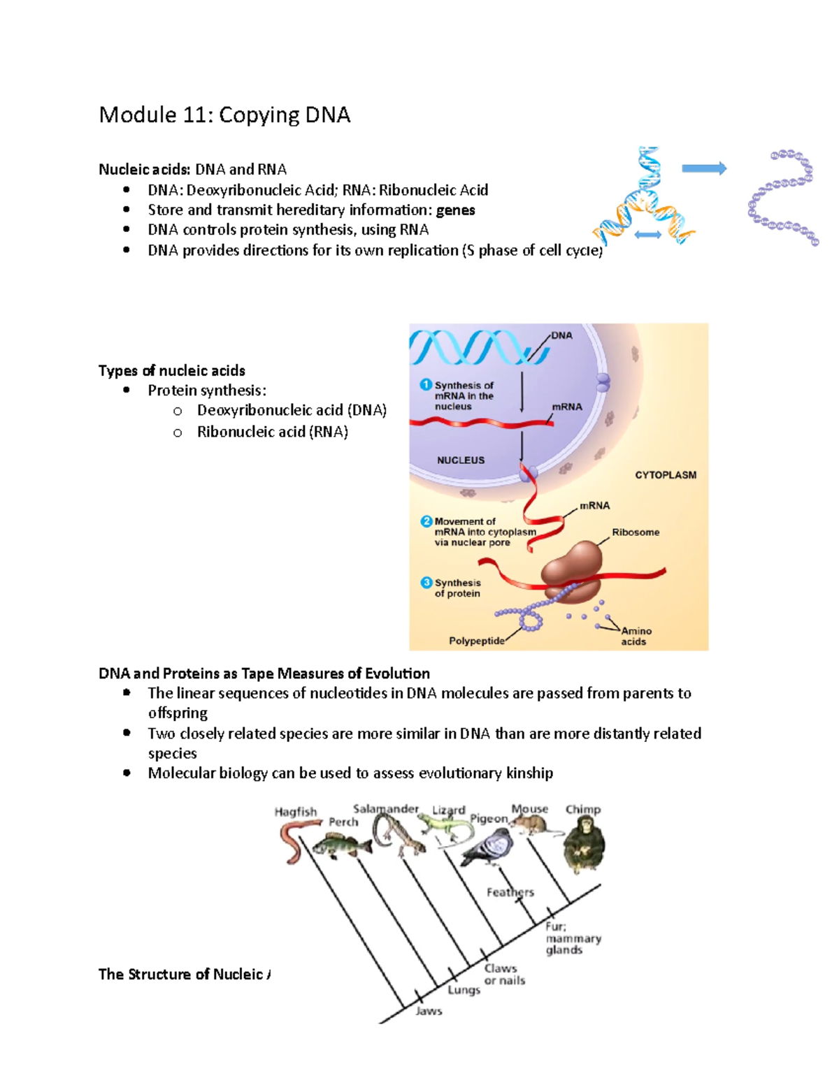 Lecture:mod 11 - bio 151 - Bio151 - VCU - Studocu