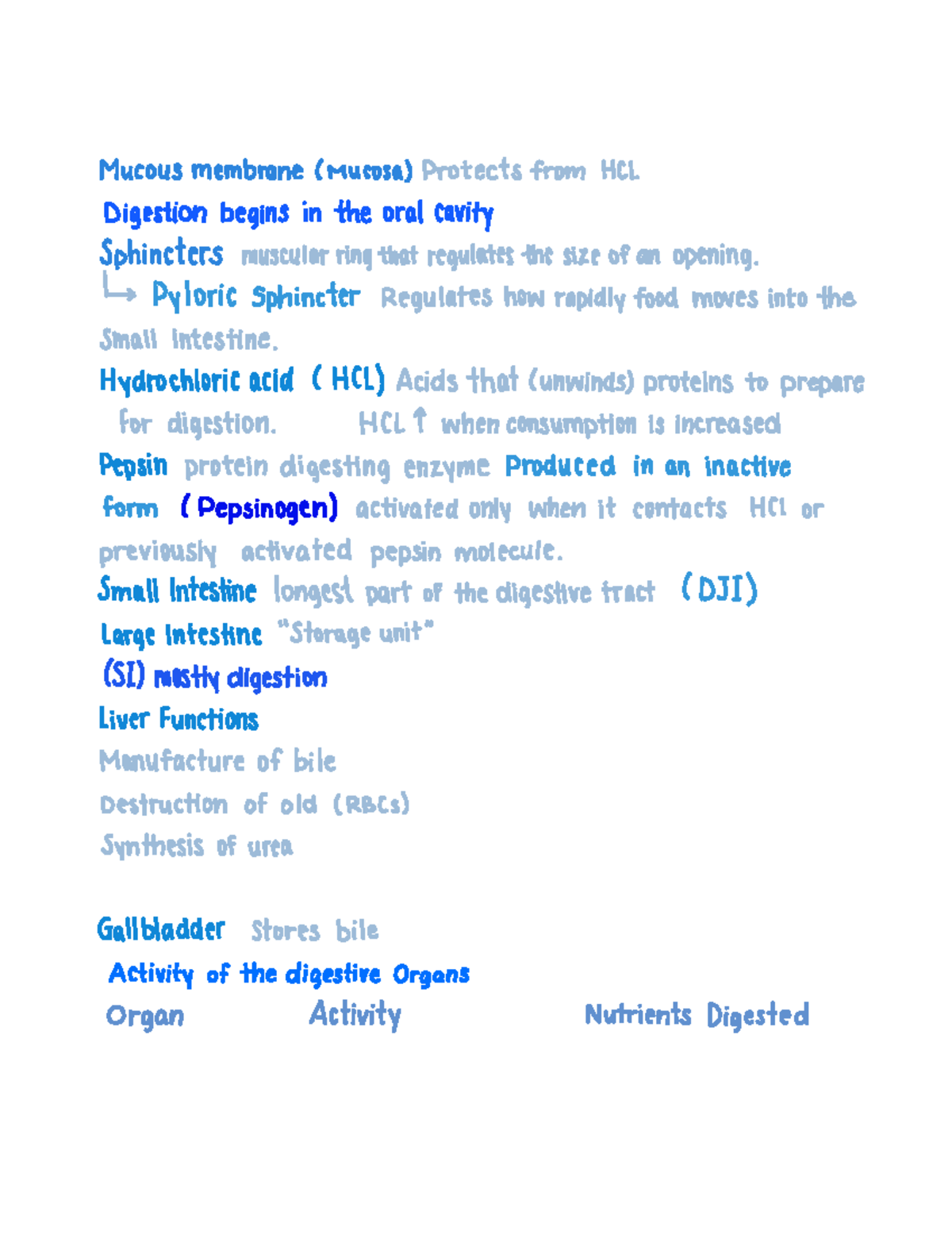 Chapter Accumulative Notes - Chapter 17 ####### Digestive ...