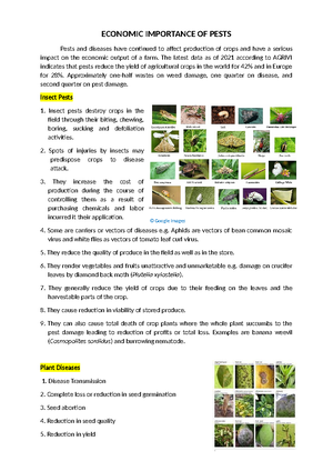 Introduction to PalayCheck - TOPIC The PalayCheck System : Concepts ...