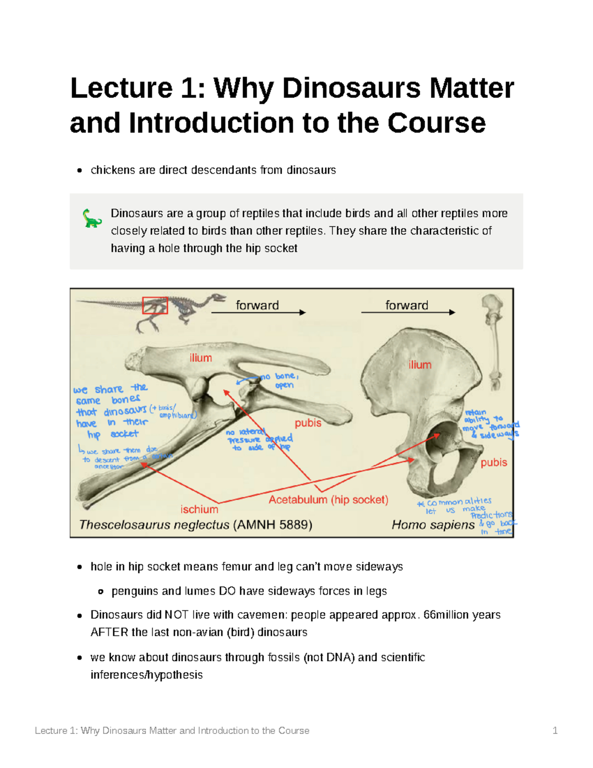 Lecture 1 Why Dinosaurs Matter and Introduction to the Course - They ...