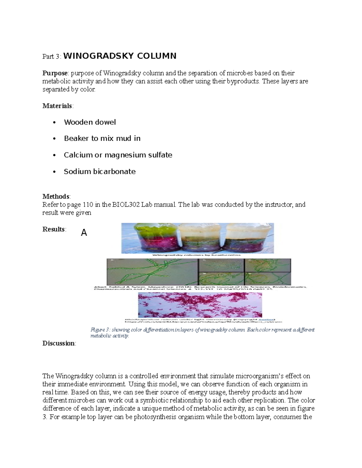 Winogradsky Column - These layers are separated by color. Materials ...