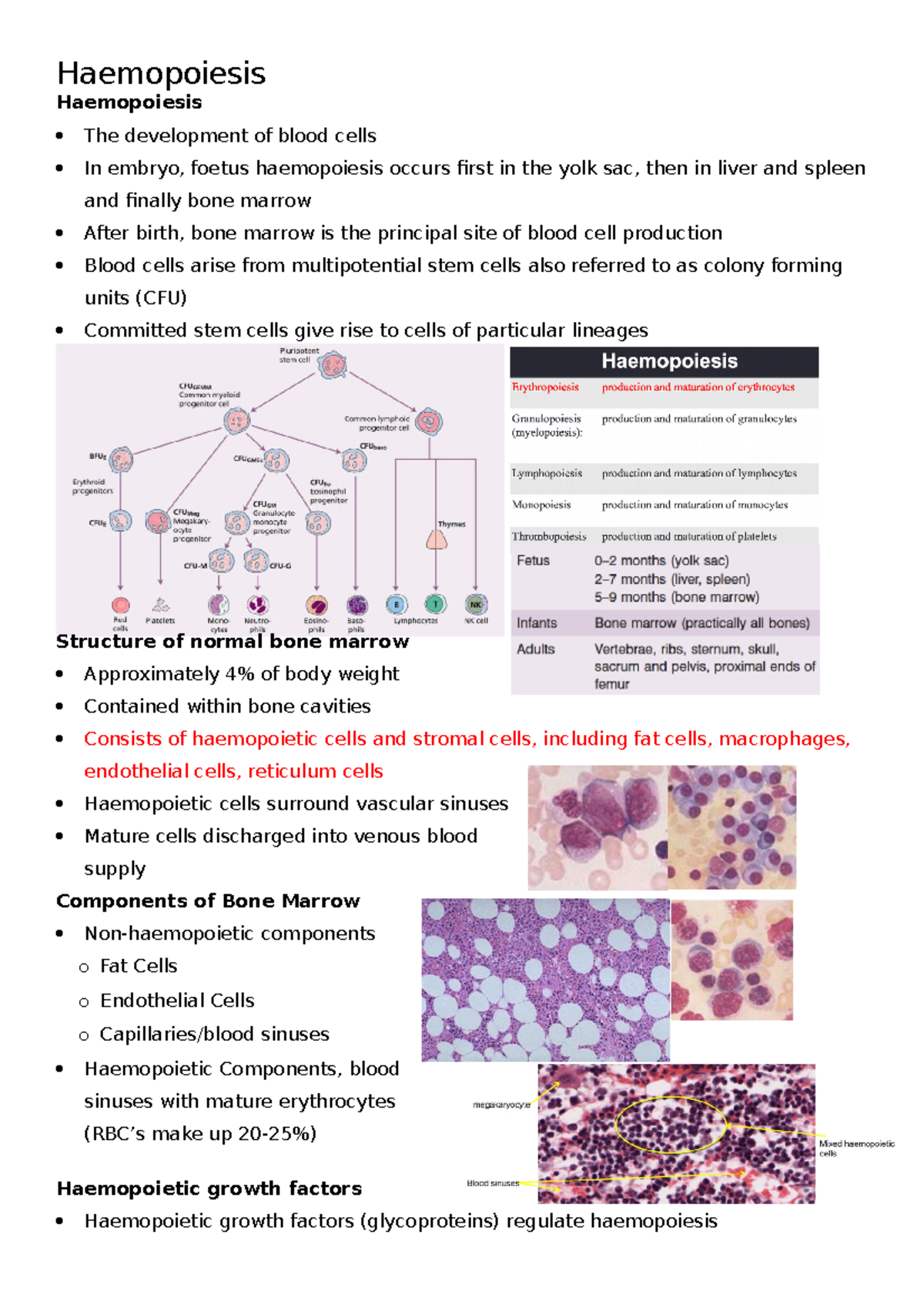 Haemopoiesis - Lecture notes 4 - Haemopoiesis Haemopoiesis The ...