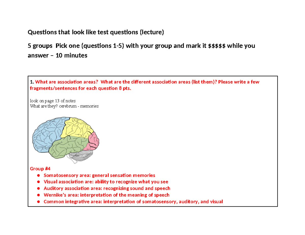 Fill in table for Brain chapter and other in class for brain ...
