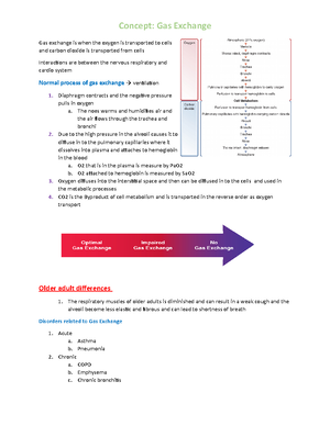 Respiratory Case Study - Respiratory Case Study Nurs. 3175 Impaired ...