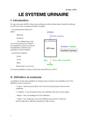 Système urinaire - Notes de cours 1 - Le système urinaire Introduction ...
