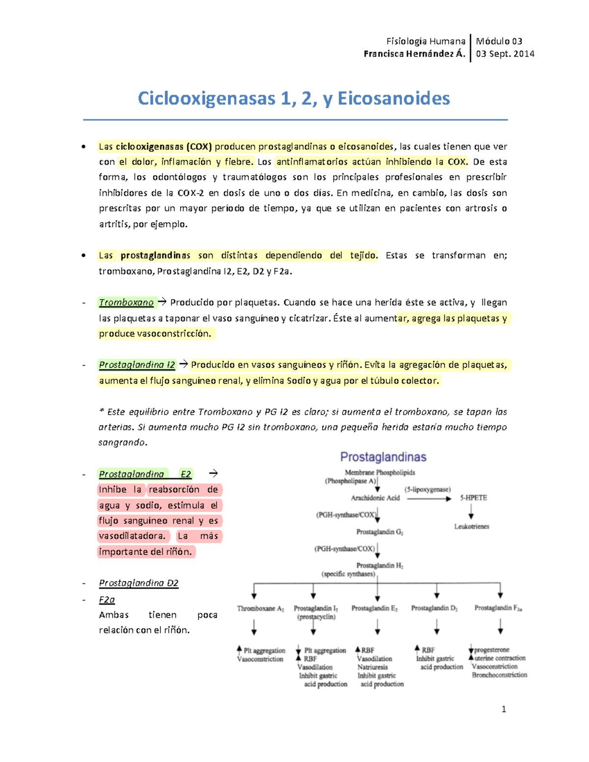Ciclooxigenasas 1,2 y eicosanoides - Fisiología Humana Módulo 03 ...