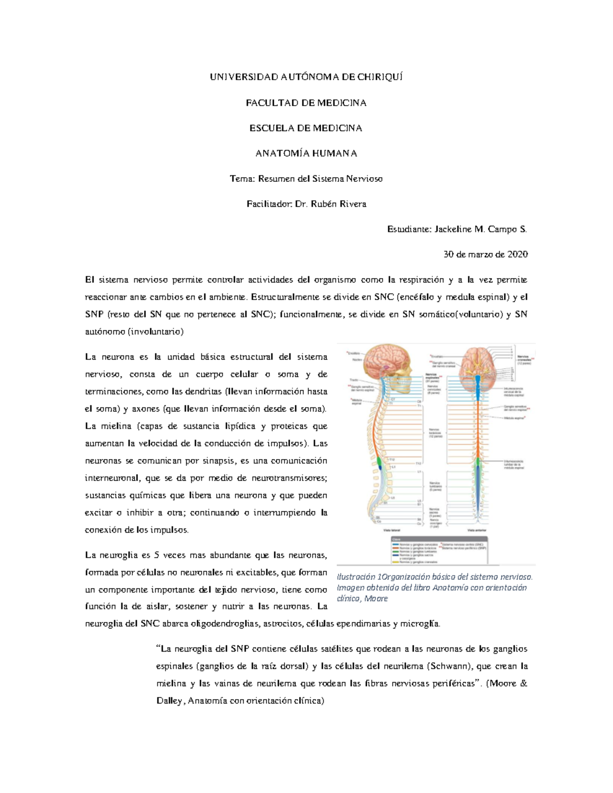 Resumen Sistema Nervioso - Warning: TT: undefined function: 32 UNIVERSIDAD AUTÓNOMA DE CHIRIQUÍ ...