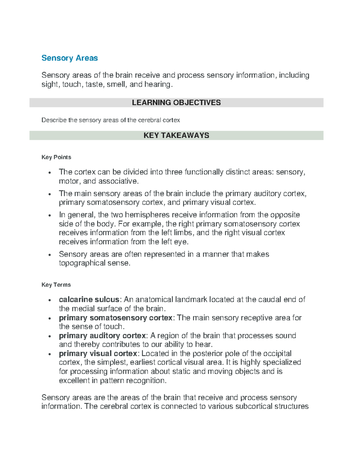 Sensory Areas-pdf - Warning: TT: undefined function: 32 Sensory Areas ...