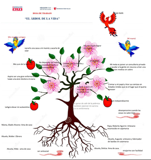 CASO Fercejor - resuelto - CASO INTEGRAL Cecilia Testa, Fernando Ortega ...