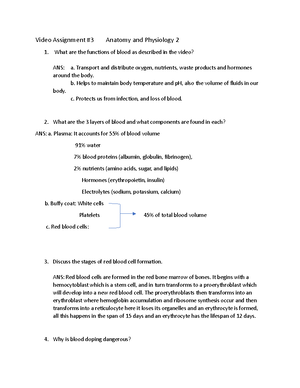 Study guide on blood vessels - Video Assignment #2 Anatomy and ...