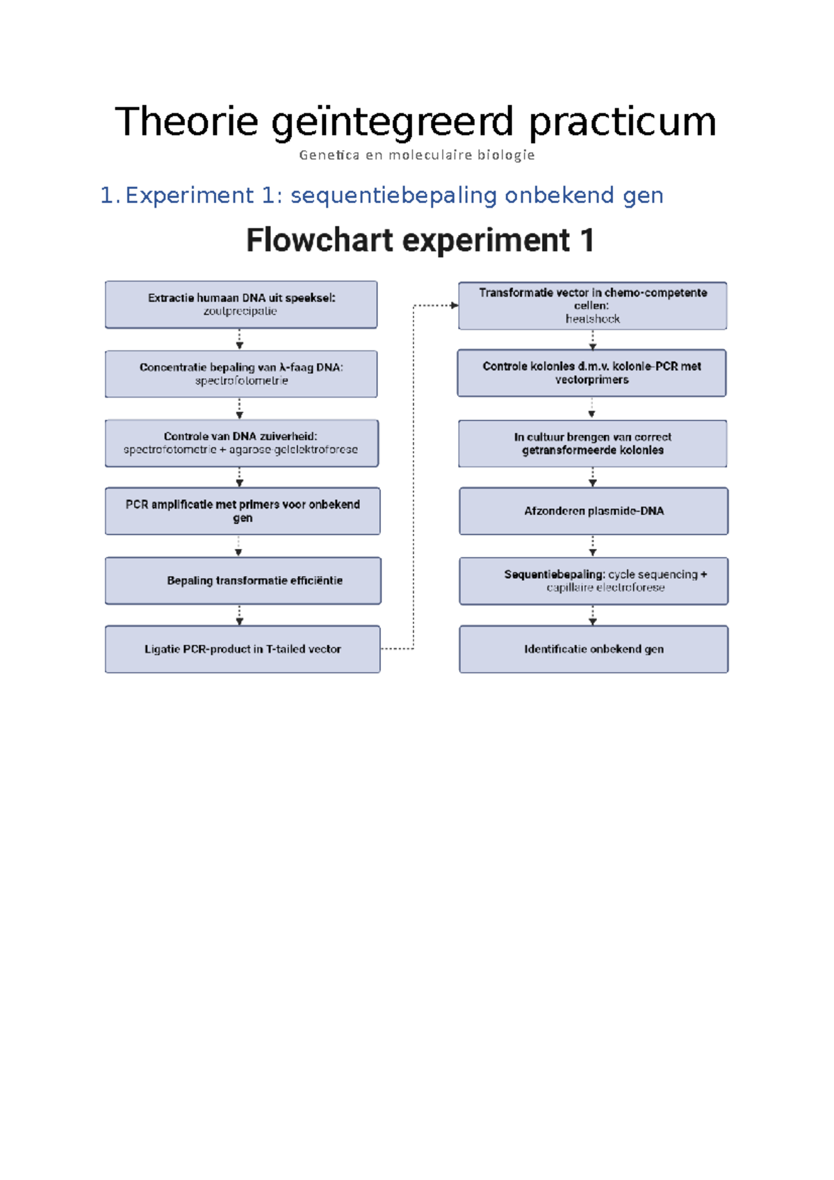 Theorie geïntegreerd practicum - Theorie geïntegreerd practicum ...