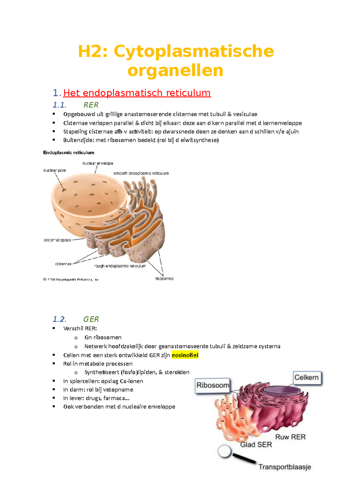 Hfdstk 2 Cytoplasmatische organellen - H2: Cytoplasmatische organellen ...