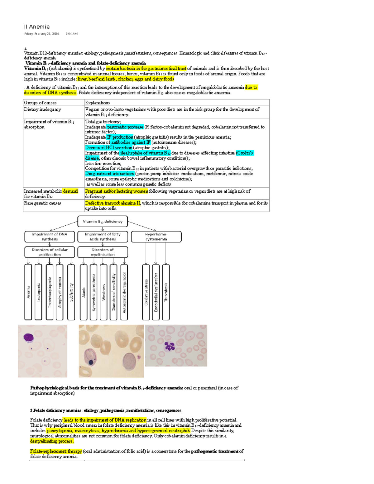 Anemia types and brief notes - Vitamin B12-deficiency anemias: etiology ...