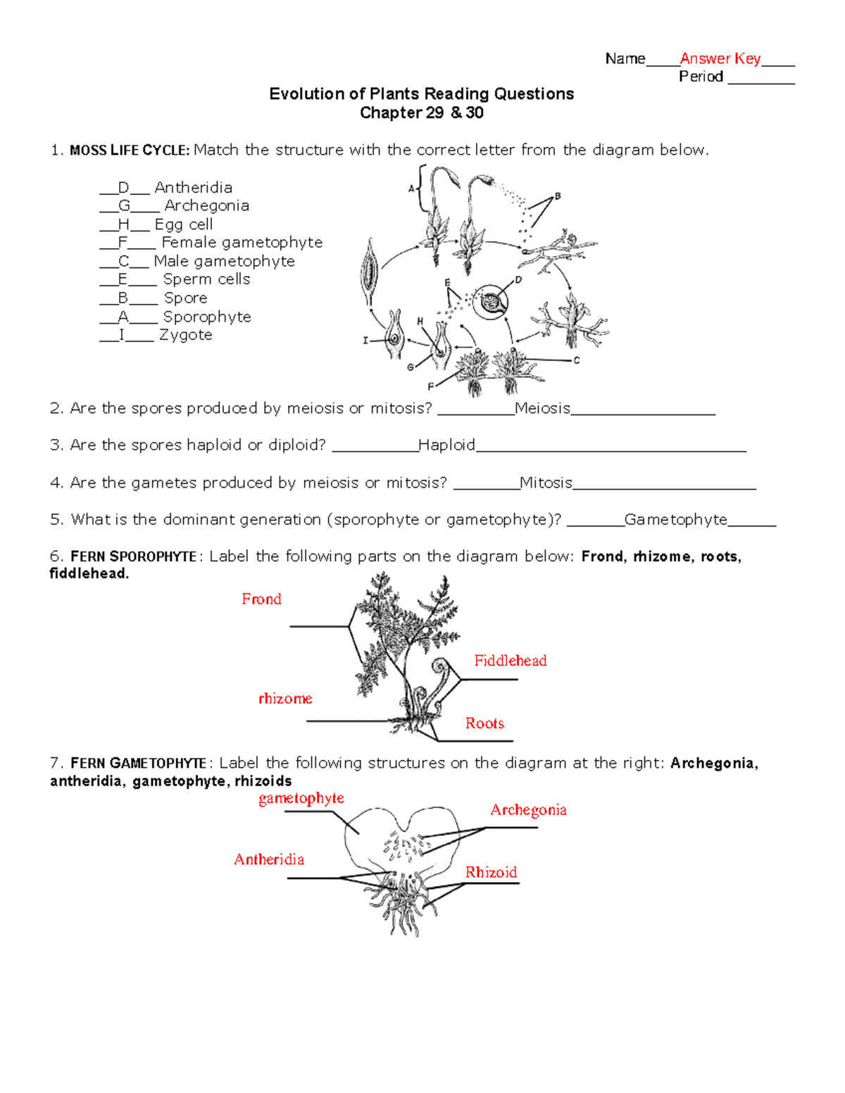 Plant Diversity Reading - Name____Answer Key____ Period ...