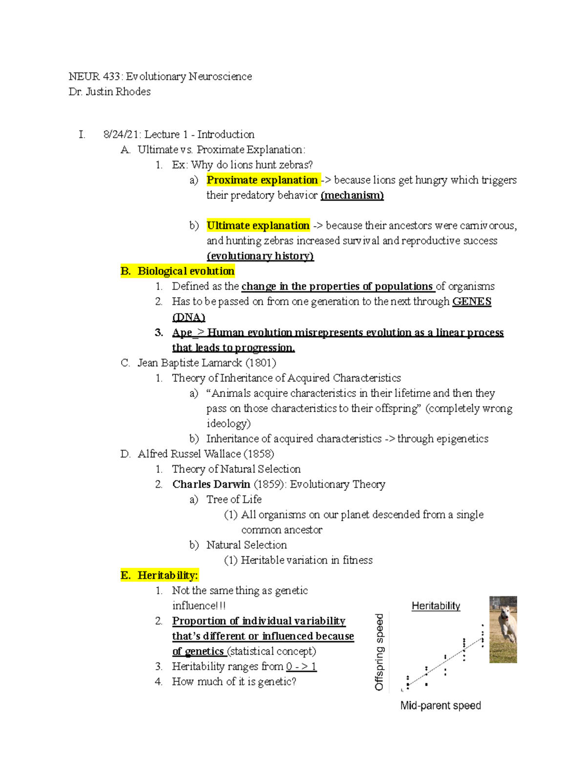 NEUR 433 Notes - Dr. Justin Rhodes evolutionary neuroscience class ...