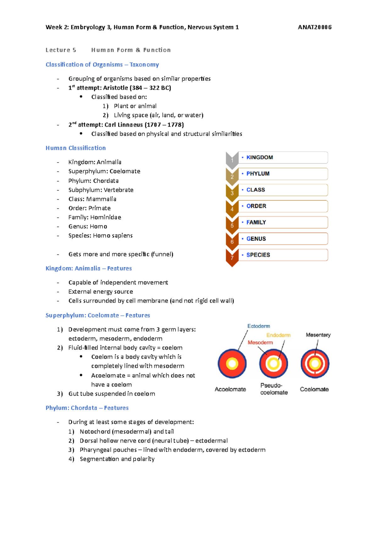 Lecture 5 - Human Form & Function - Lecture 5 Human Form & Function ...