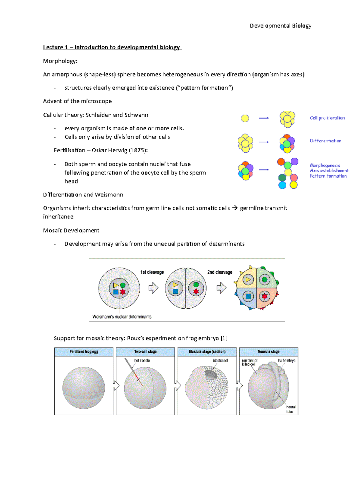Introduction to Developmental Biology - Developmental Biology Lecture 1 ...