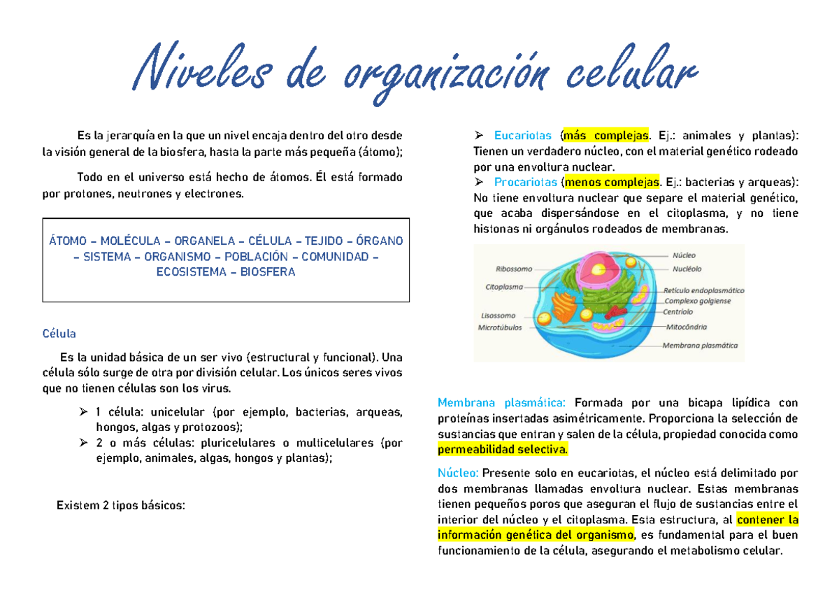 Niveles de organización celular- aula 1 - Niveles de organización ...