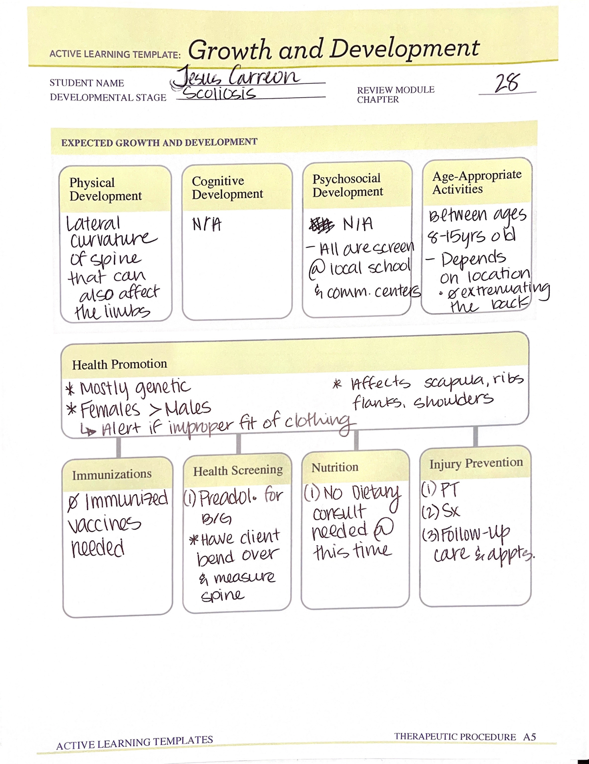 Proctor A Templates - NURS 317L - Studocu