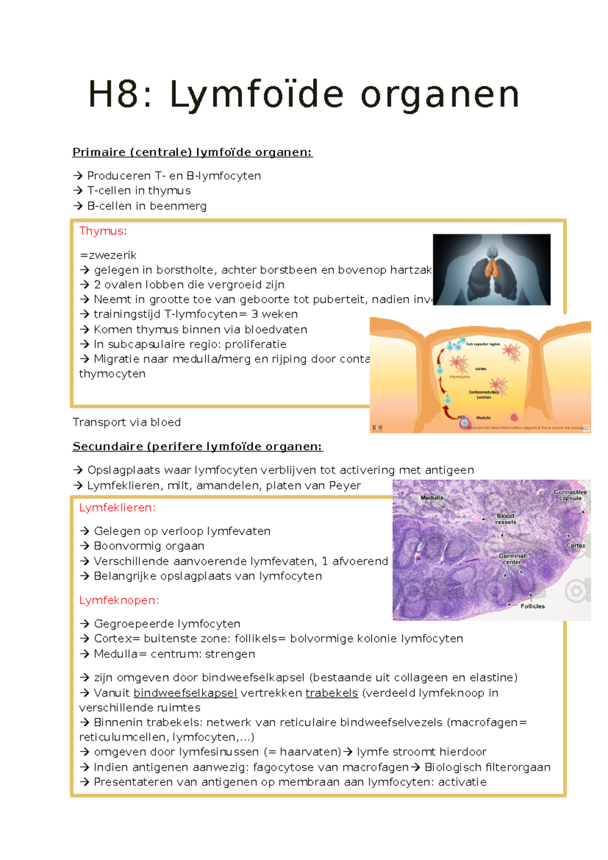 H8 - Samenvatting lymfoïde organen - H8: Lymfoïde organen Primaire ...