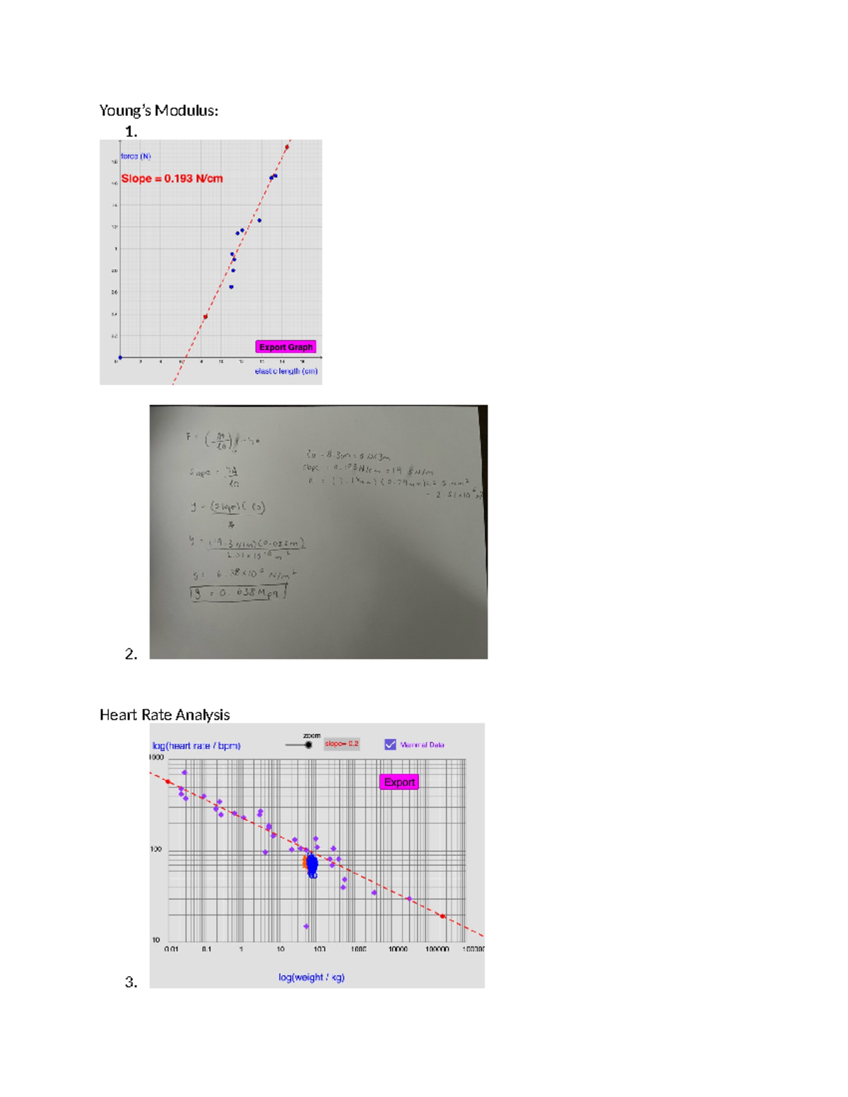 Young Modulus Lab - Phys*1080 - Young’s Modulus: 1. 2. Heart Rate ...