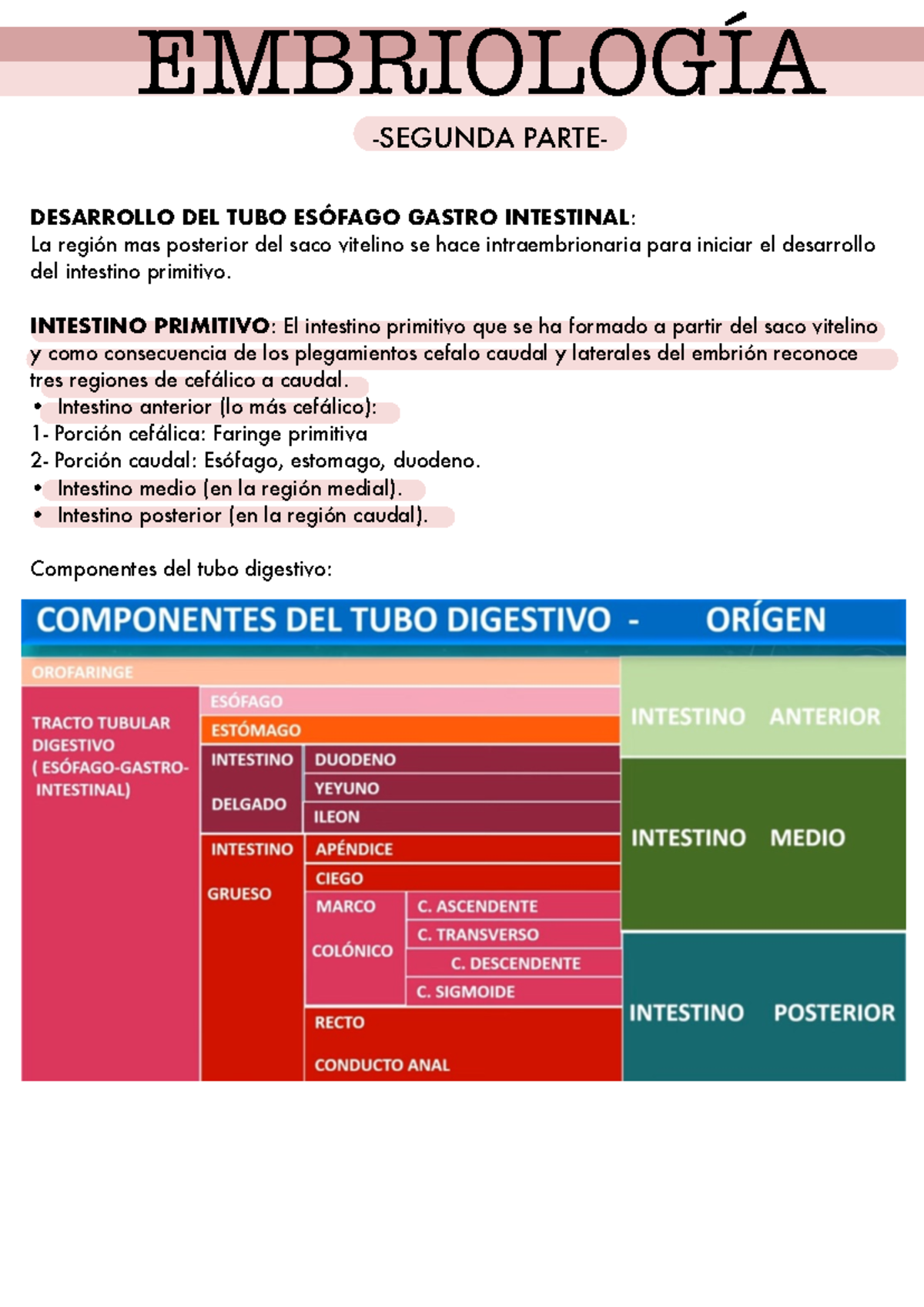 EmbriologíA 2DO Parcial - EMBRIOLOGÍA -SEGUNDA PARTE- DESARROLLO DEL ...