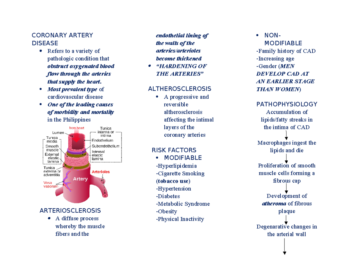 MS Cardio CAD Notes - Medical Sugical Nursing Coronary Artery Disease ...