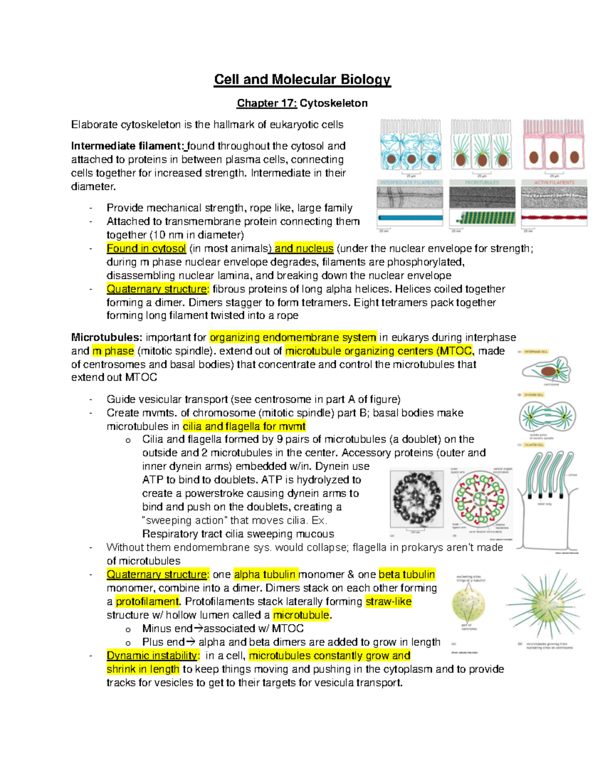 Unit 4 Exam Cell and Molec - Cell and Molecular Biology Chapter 17 ...