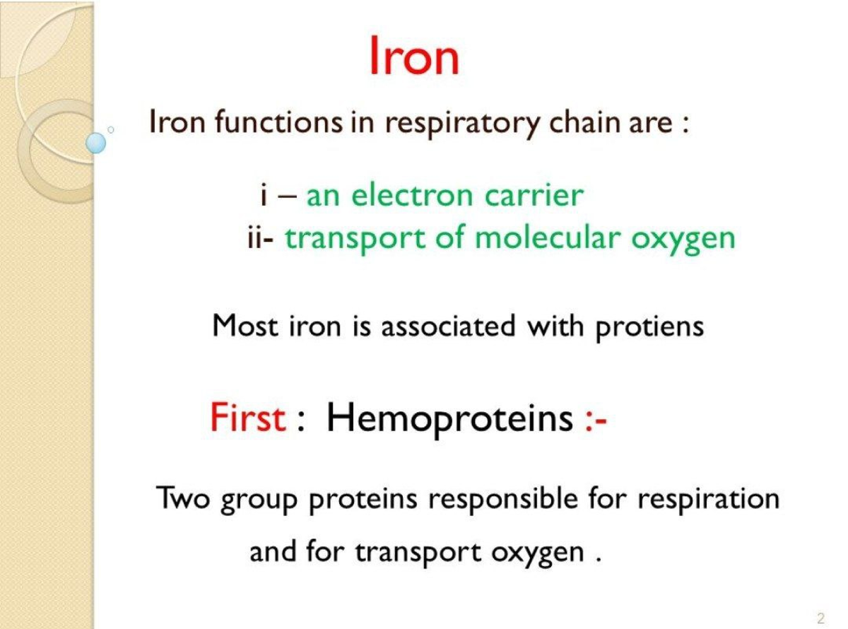 Iron - physiology - Studocu